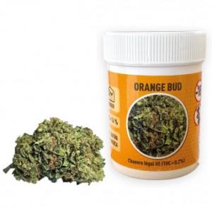 Koisas Dadultos Orange Bud CBD